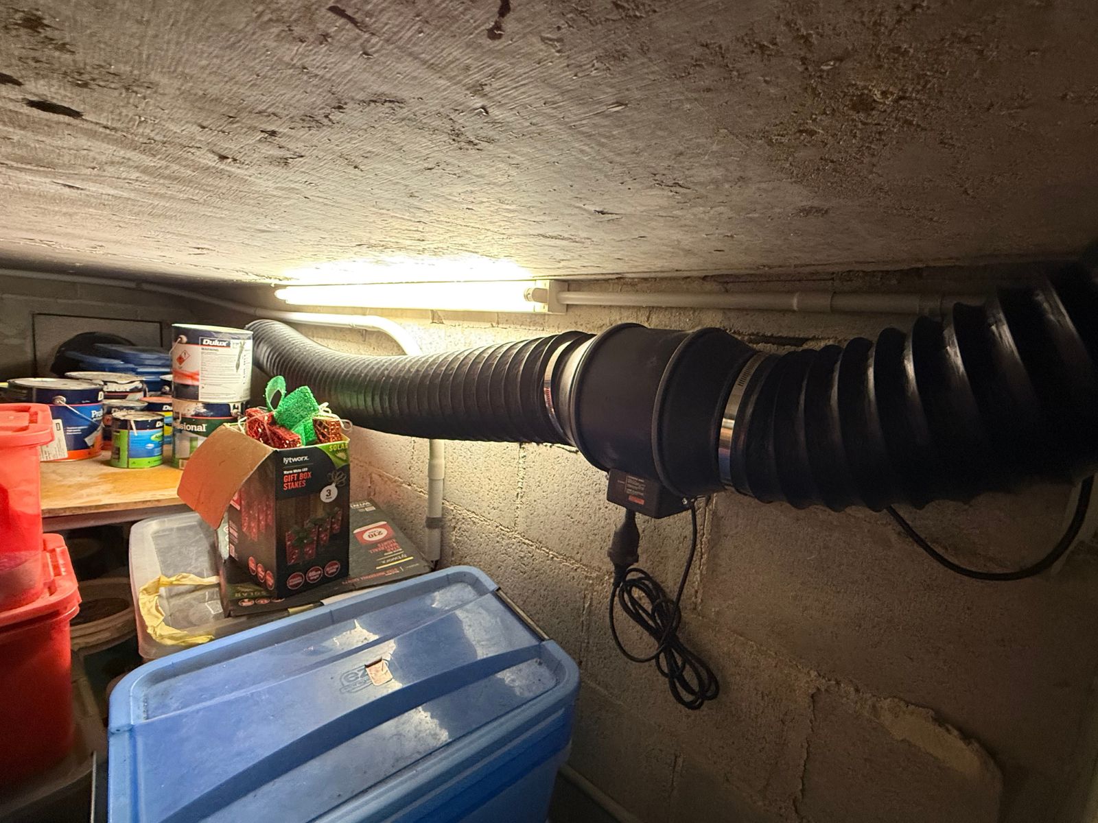 Chemical vs Physical Termite Barriers for Better Home Protection